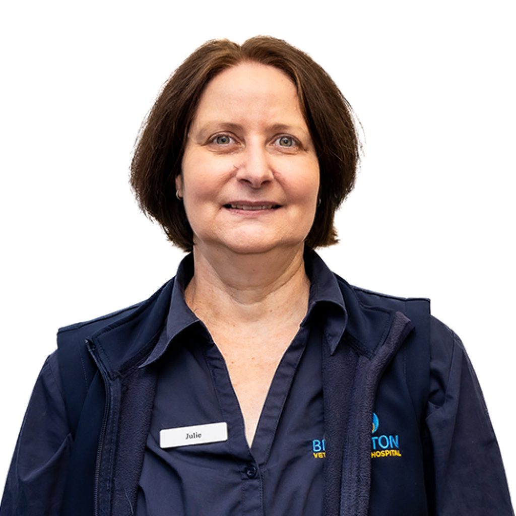 Dr Brian Golden - Brighton Veterinary Hospital