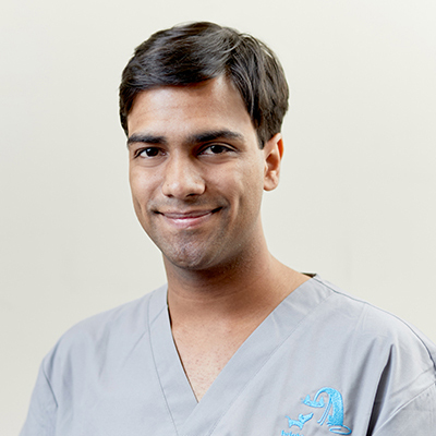 Brighton Veterinary Hospital: Vet surgery | Animal hospital - Brighton, SA