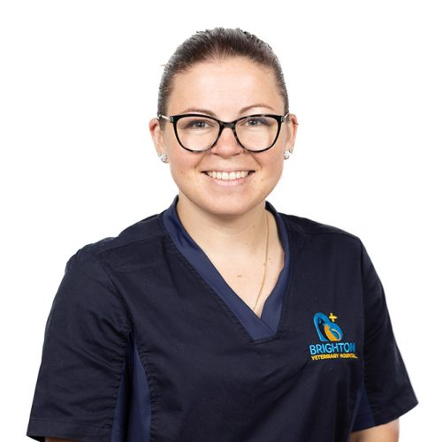 Brighton Veterinary Hospital: Vet surgery | Animal hospital - Brighton, SA