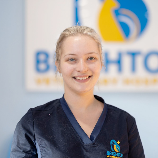 Dr Alexandra Lamb - Brighton Veterinary Hospital