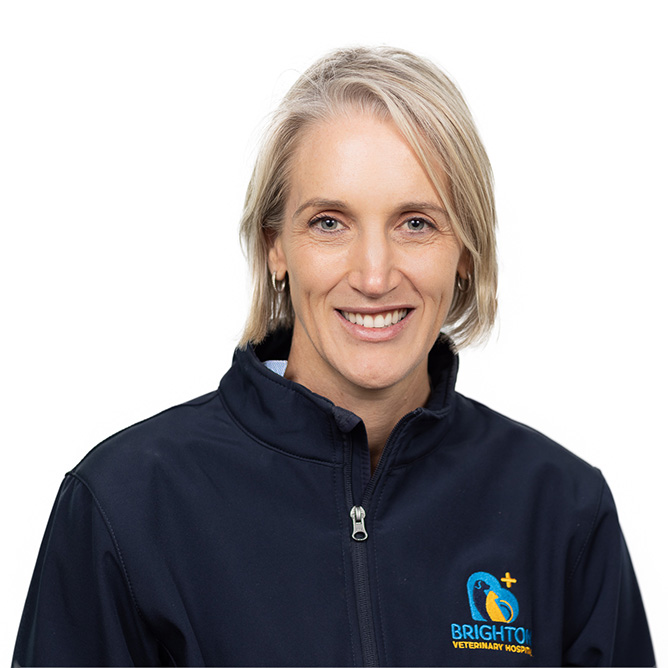 Our Team - Brighton Veterinary Hospital