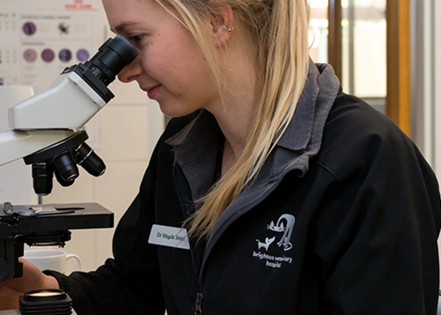 Brighton Veterinary Hospital: Vet surgery | Animal hospital - Brighton, SA