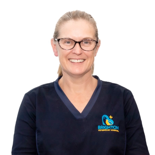 Kim Ingham - Brighton Veterinary Hospital
