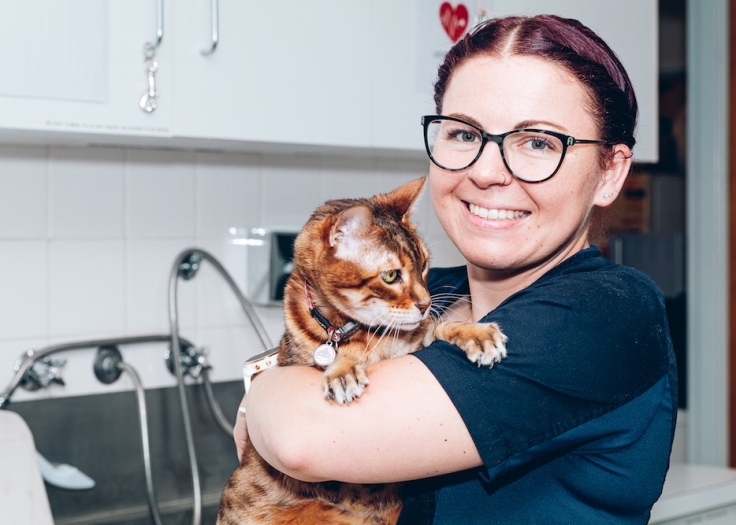 Brighton Veterinary Hospital: Vet surgery | Animal hospital - Brighton, SA
